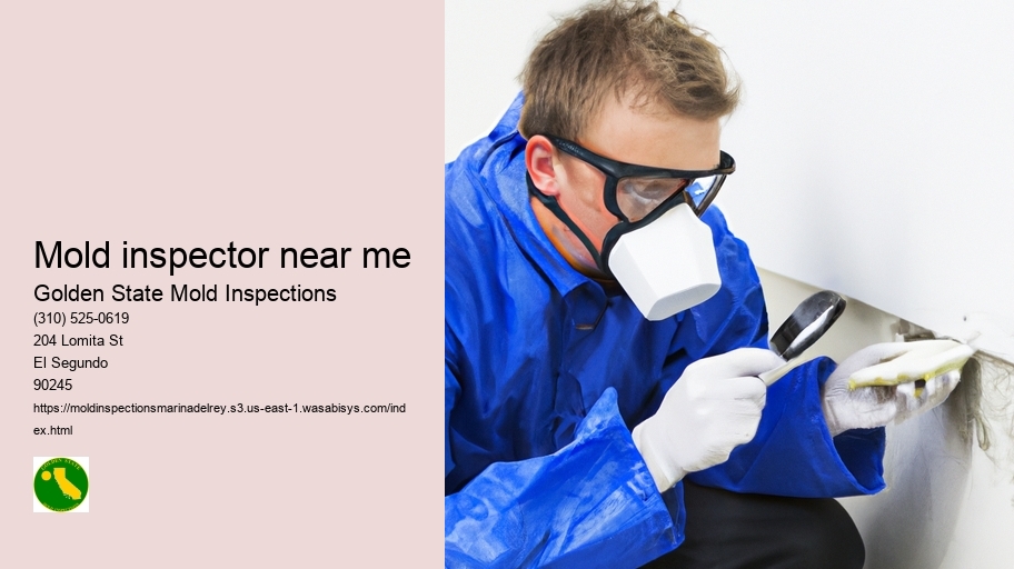 Mold inspector near me